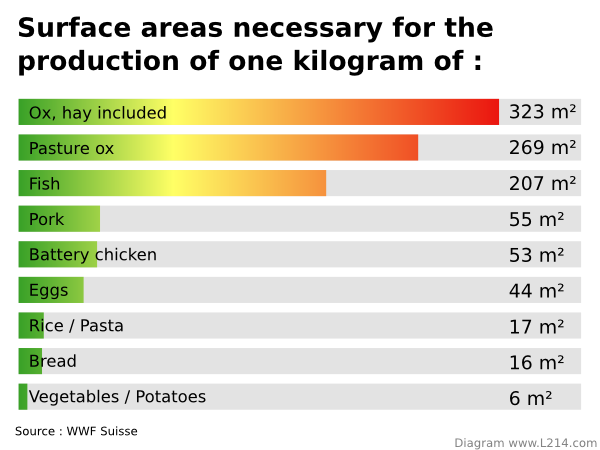 Surfaces required for food | Drupal
